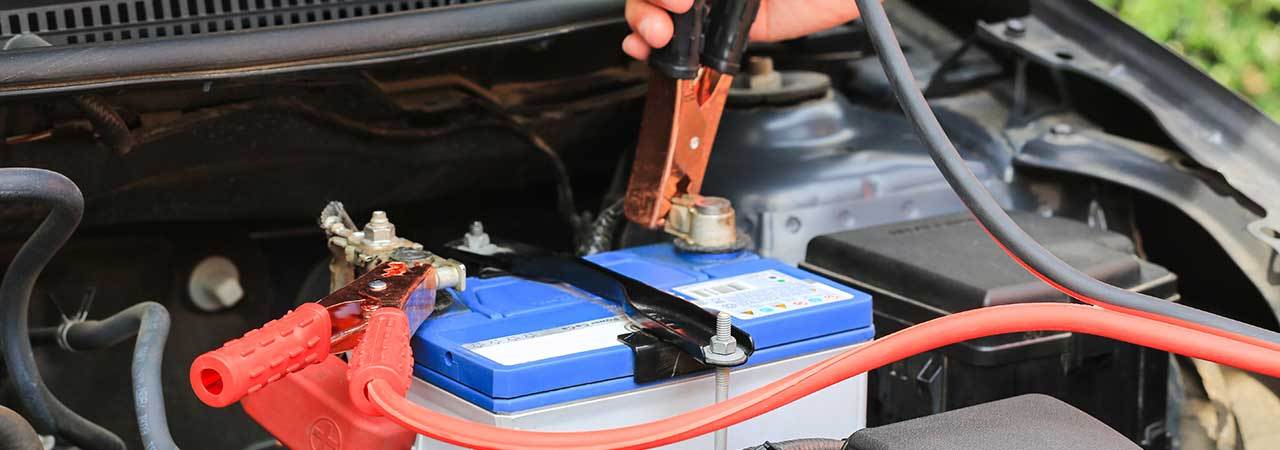 5 Best Battery Chargers - Dec. 2022 - BestReviews